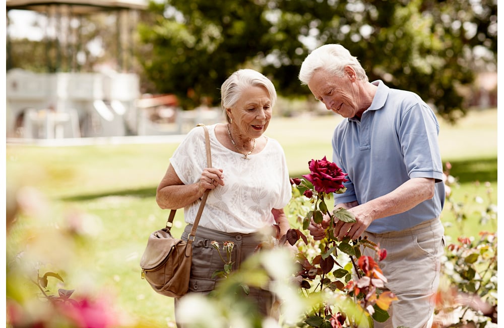 Levande Cardinal Freeman, Ashfield Retirement Village, Retirement Home, NSW