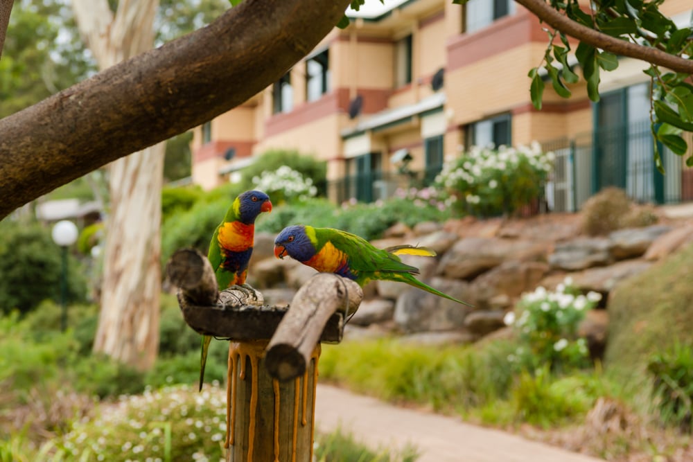 Kalyra Belair Aged Care - Aged Care Belair SA 5052 | agedcare101
